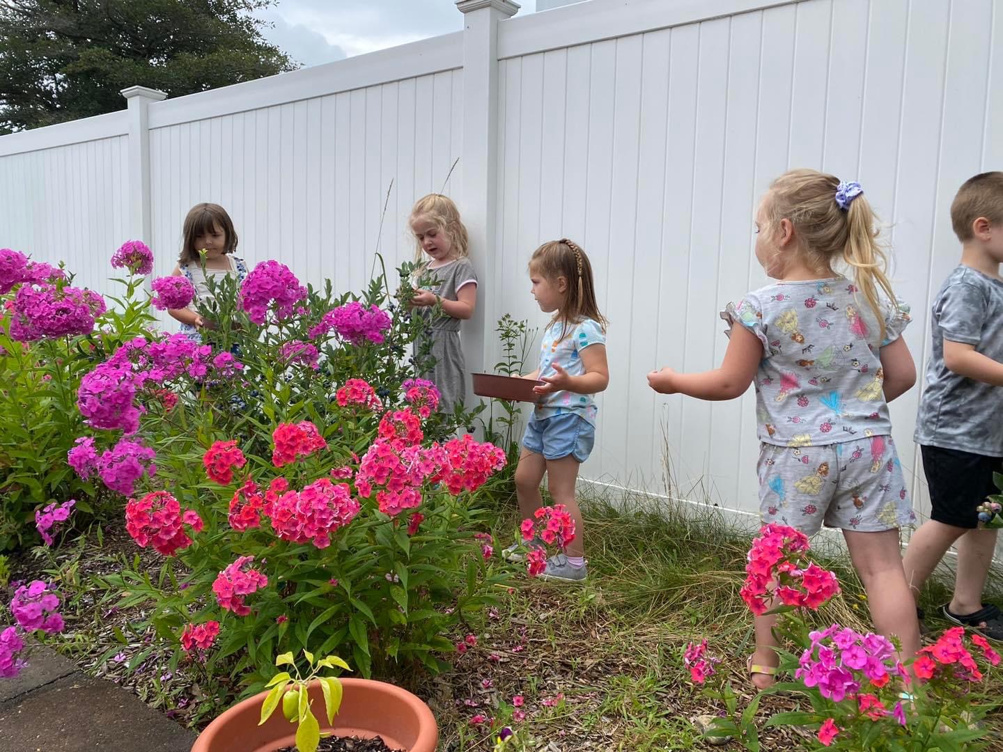 All Friends Learning Center – NASSON COMMUNITY CENTER & LITTLE THEATRE
